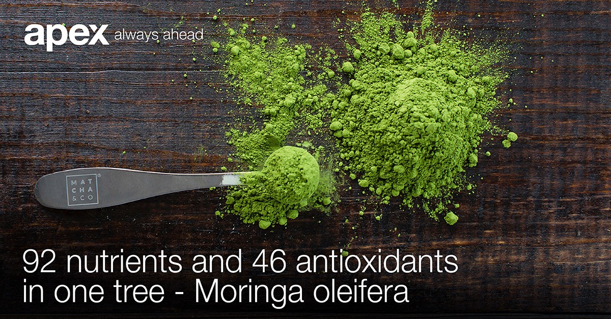 92 nutrients and 46 antioxidants in one tree - Moringa oleifera : Apex ...